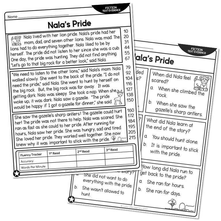 2nd Grade Fiction Text Evidence and 5 W's Reading Passage - Nala's ...