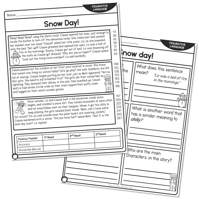 2nd Grade Figurative Language Reading Passage - Snow Day! - Above ...