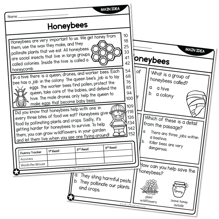 2nd Grade Main Idea Reading Passage - Honeybees - Below - Lucky Little ...