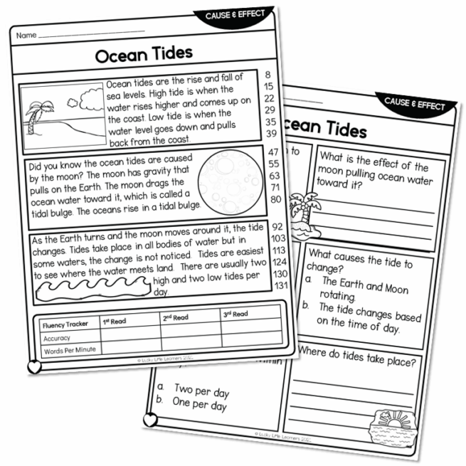 2nd Grade Nonfiction Cause and Effect Reading Passage - Ocean Tides ...