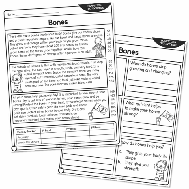 2nd Grade Nonfiction Text Evidence and 5 W's Reading Passage - Bones ...