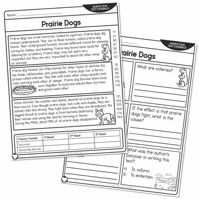 2nd Grade Nonfiction Text Evidence and 5 W's Reading Passage - Prairie ...