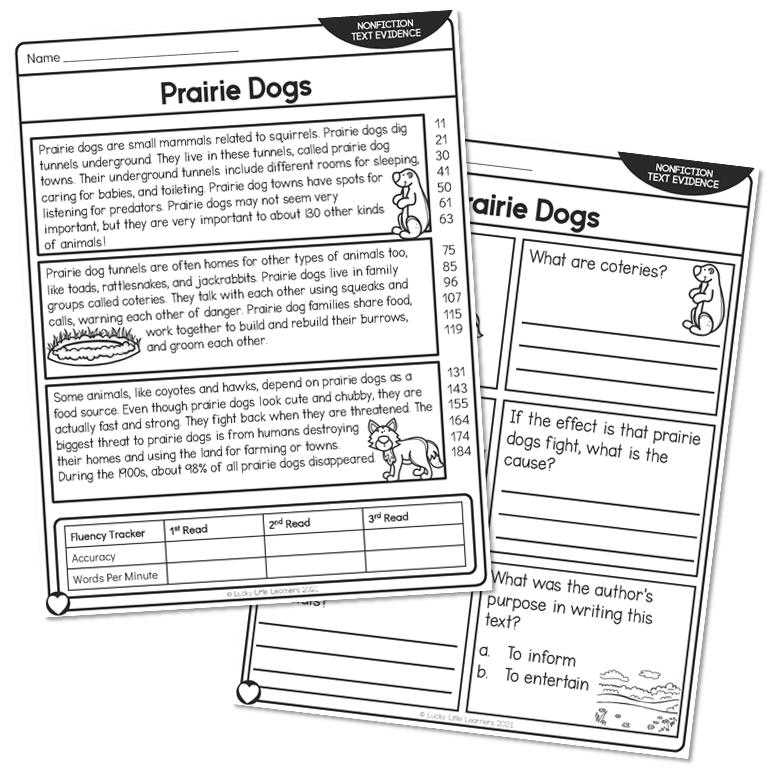 2nd Grade Nonfiction Text Evidence and 5 W's Reading Passage - Prairie ...