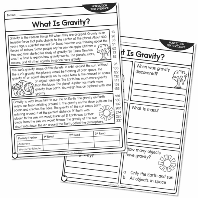 2nd Grade Nonfiction Text Evidence and 5 W's Reading Passage - What is ...