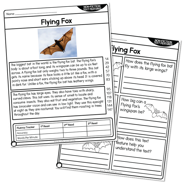 2nd Grade Nonfiction Text Features Reading Passage - Flying Fox - Above ...