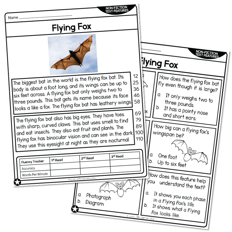 2nd Grade Nonfiction Text Features Reading Passage - Flying Fox - Below ...