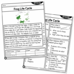 2nd Grade Nonfiction Text Features Reading Passage - Frog Life Cycle ...