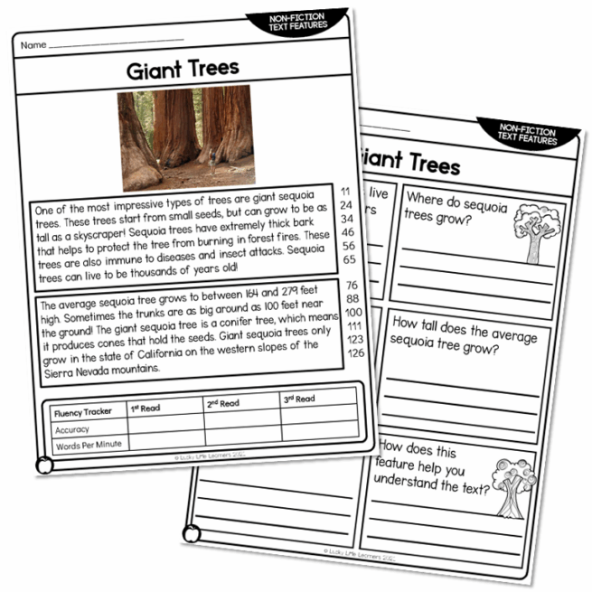 2nd Grade Nonfiction Text Features Reading Passage - Giant Trees ...