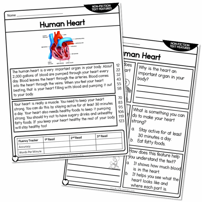 2nd Grade Nonfiction Text Features Reading Passage - Human Heart - At ...
