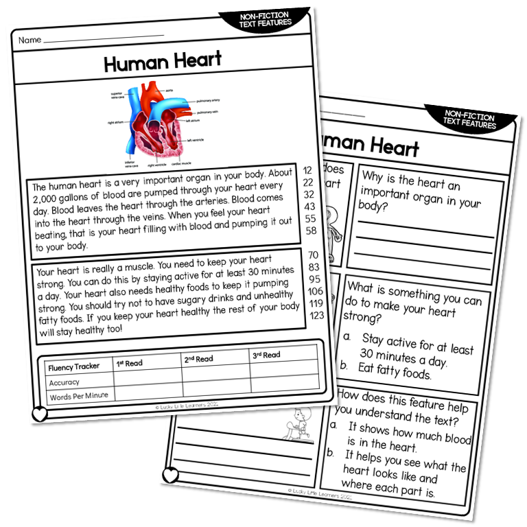 2nd Grade Nonfiction Text Features Reading Passage - Human Heart - At ...
