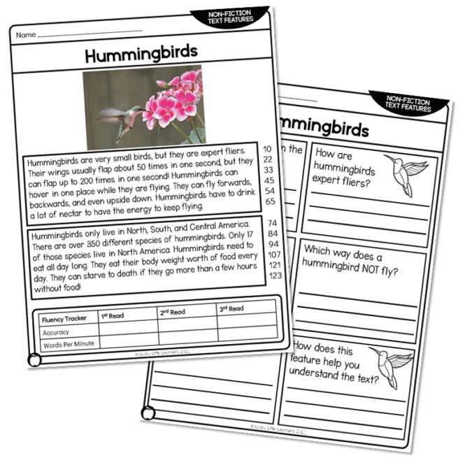 2nd Grade Nonfiction Text Features Reading Passage - Hummingbirds ...