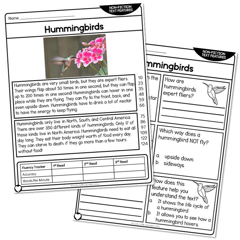 2nd Grade Nonfiction Text Features Reading Passage - Hummingbirds - At ...