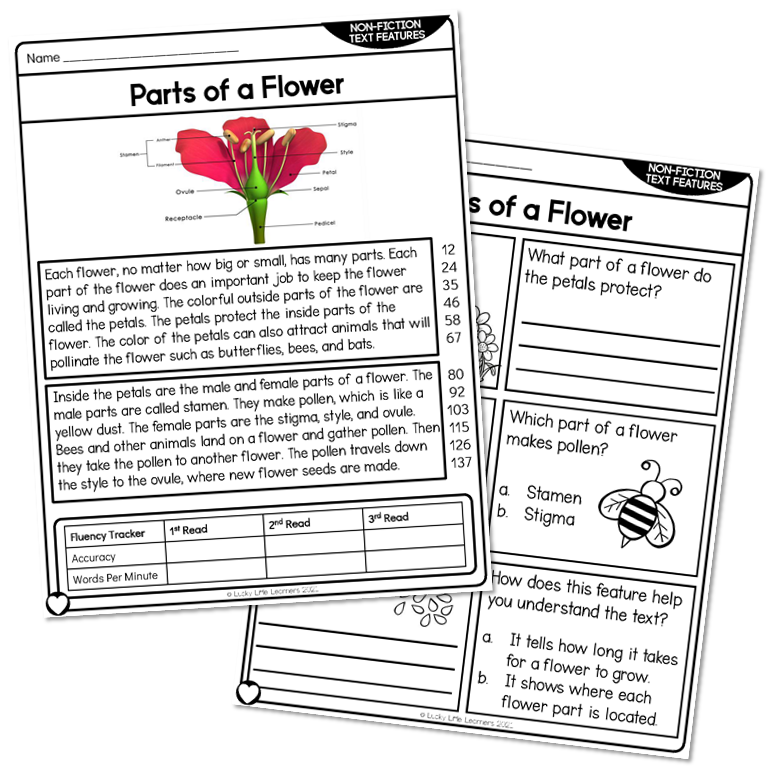 2nd Grade Nonfiction Text Features Reading Passage - Parts of a Flower ...