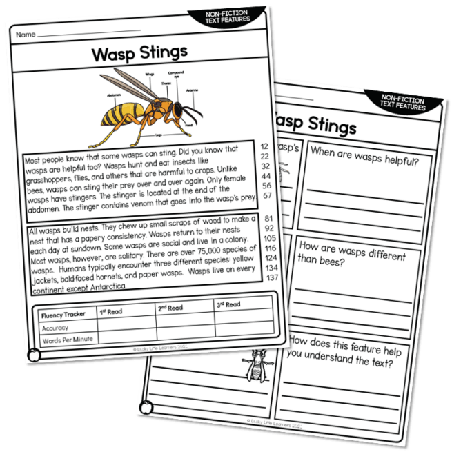 2nd Grade Nonfiction Text Features Reading Passage - Wasp Stings ...