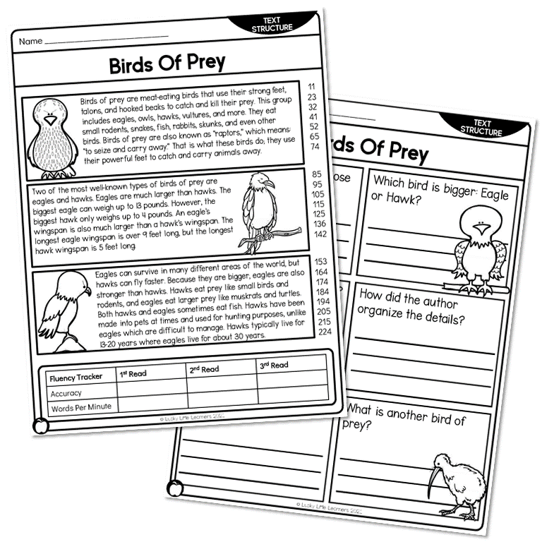 2nd Grade Nonfiction Text Structures Reading Passage - Birds of Prey ...