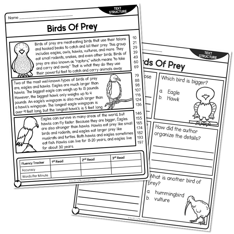 2nd Grade Nonfiction Text Structures Reading Passage - Birds of Prey ...