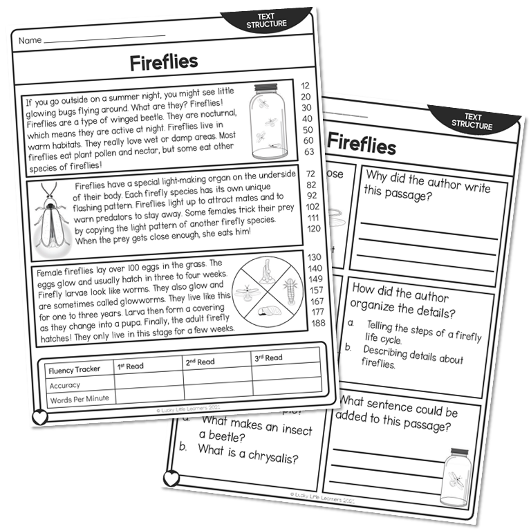 2nd Grade Nonfiction Text Structures Reading Passage - Fireflies - At ...