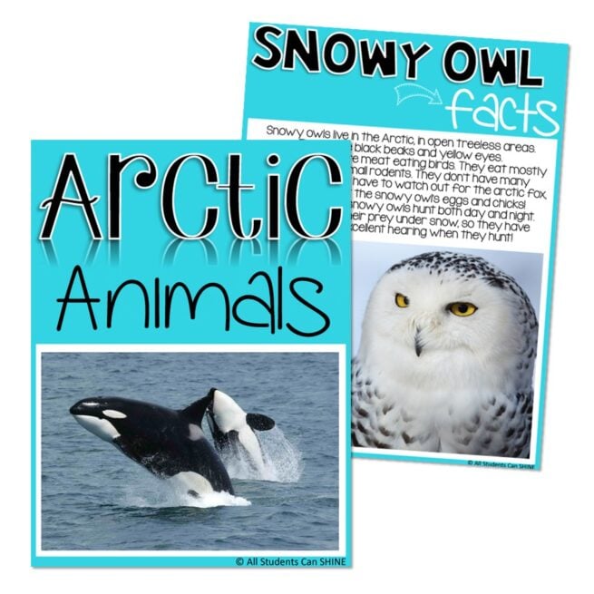Arctic Animals Unit - Arctic Animals Read Aloud - Lucky Little Learners