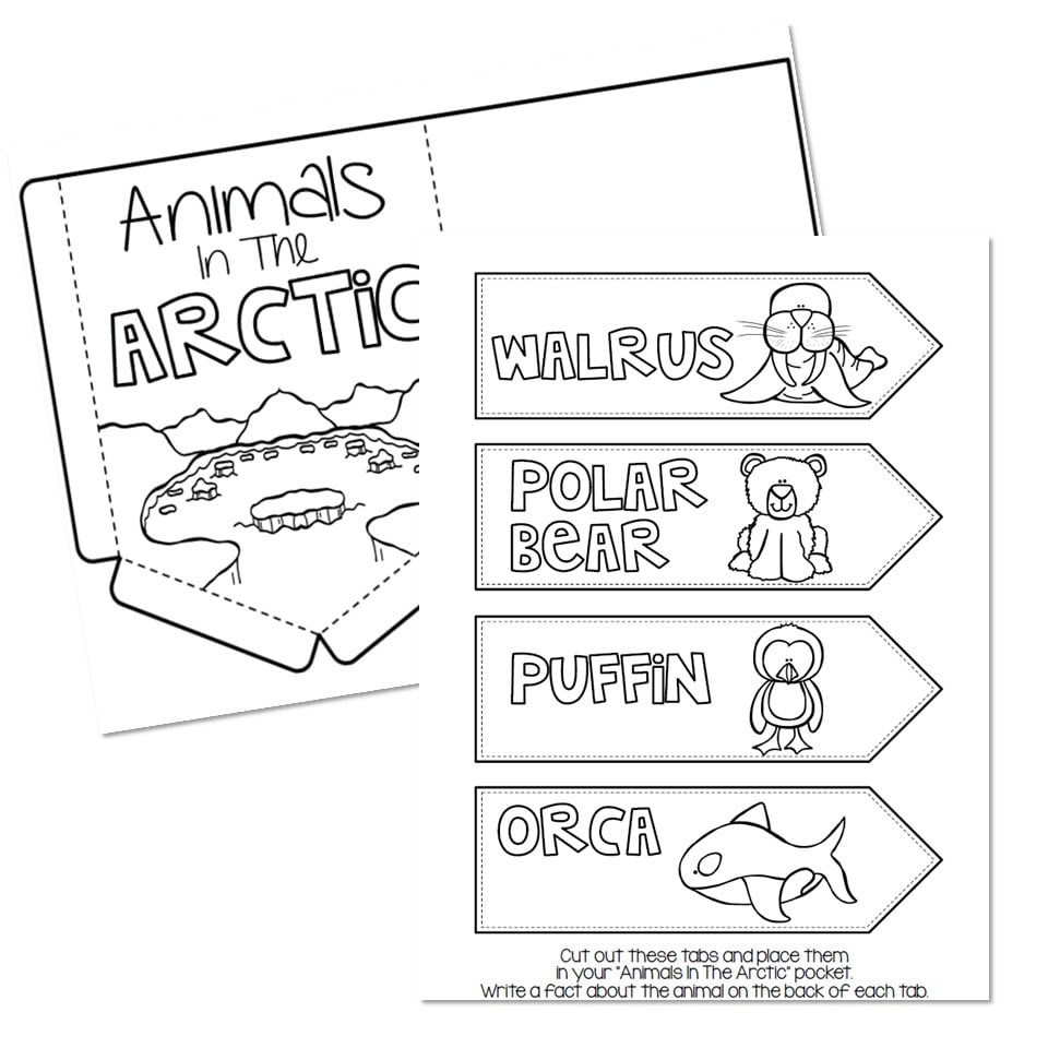 Arctic Animals Unit - Interactive Notebook Pages - Lucky Little Learners