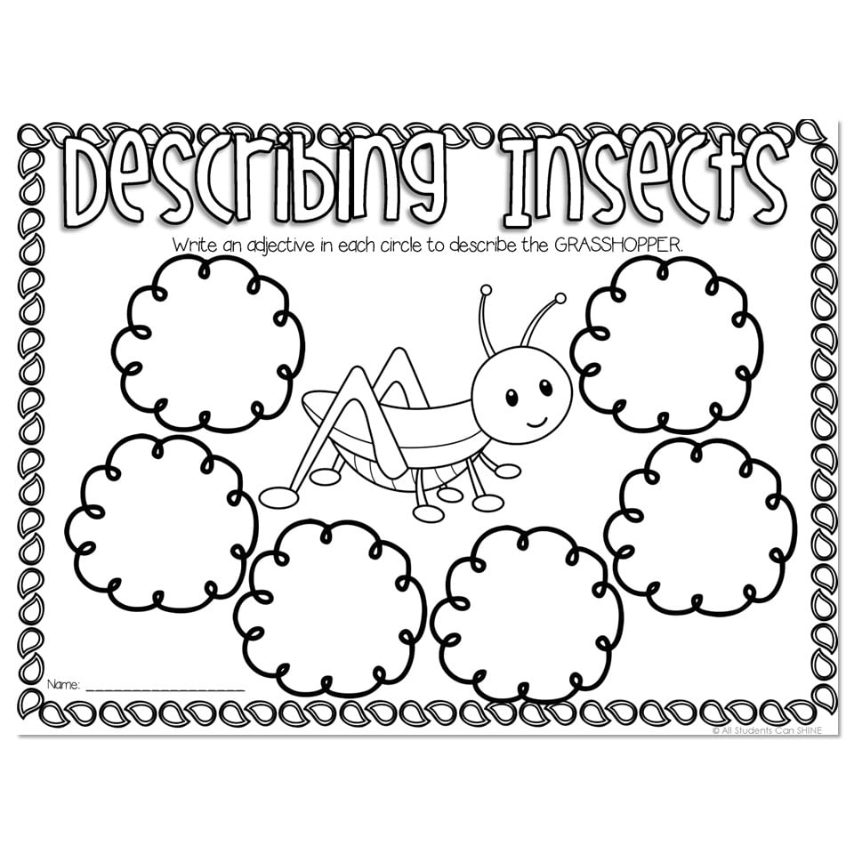 Insects Unit - Describing Insects - Lucky Little Learners