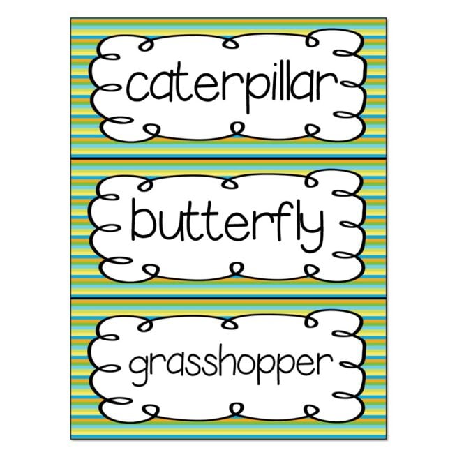 Insects Unit - Word Wall - Lucky Little Learners