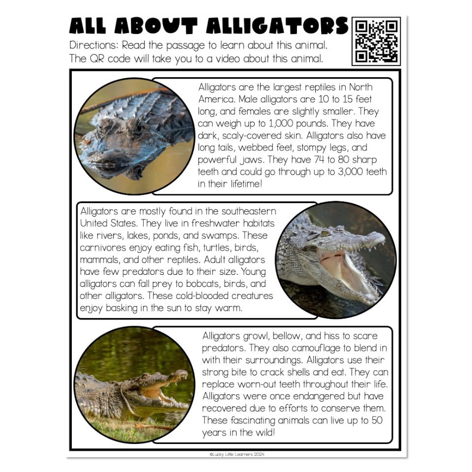 Lucky to Learn Writing - Unit 3 Informational - Week 6 - Animal Report ...