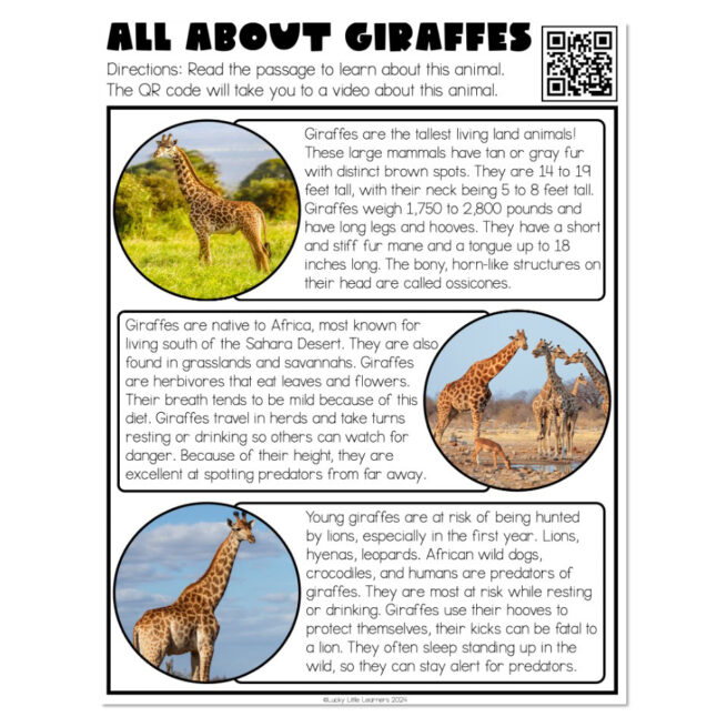 Lucky to Learn Writing - Unit 3 Informational - Week 6 - Animal Report ...