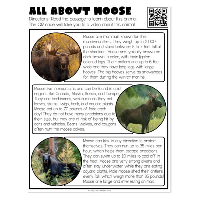 Lucky to Learn Writing - Unit 3 Informational - Week 6 - Animal Report ...