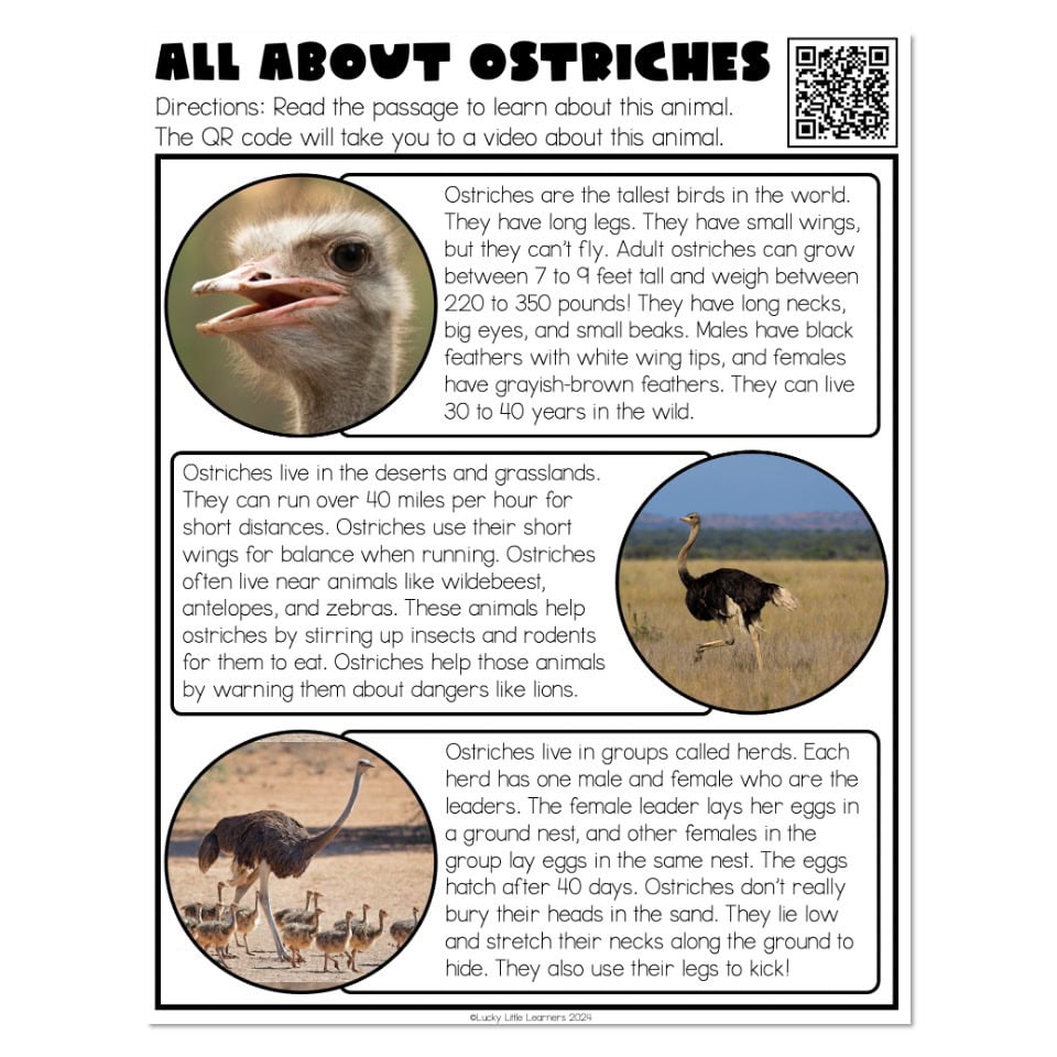 Lucky to Learn Writing - Unit 3 Informational - Week 6 - Animal Report ...