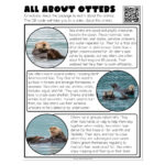 Lucky to Learn Writing - Unit 3 Informational - Week 6 - Animal Report ...