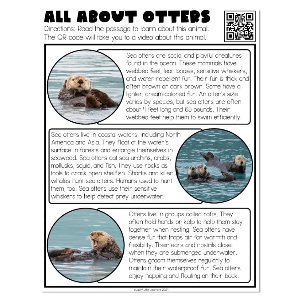 Lucky to Learn Writing - Unit 3 Informational - Week 6 - Animal Report ...