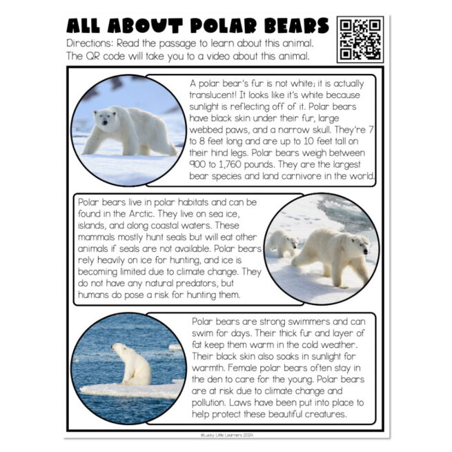 Lucky to Learn Writing - Unit 3 Informational - Week 6 - Animal Report ...