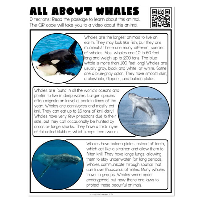 Lucky to Learn Writing - Unit 3 Informational - Week 6 - Animal Report ...