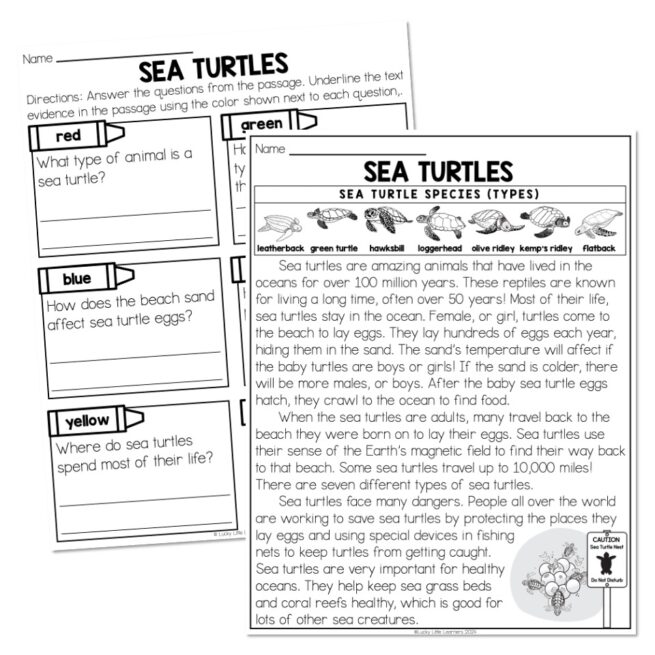 Nonfiction Reading Passage and Questions - Text Evidence - Sea Turtles ...