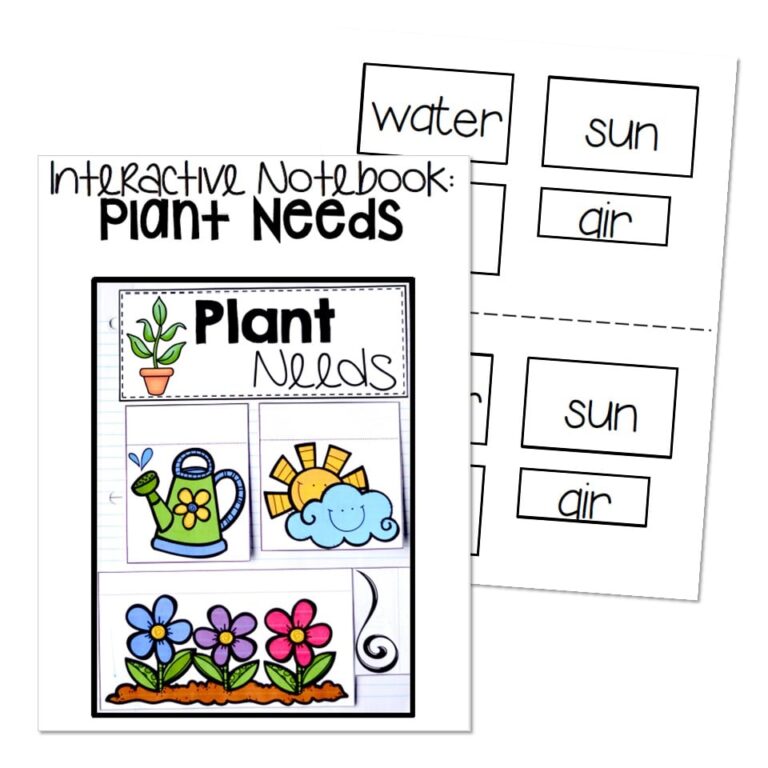 Plants Unit - Interactive Notebook Pages - Lucky Little Learners