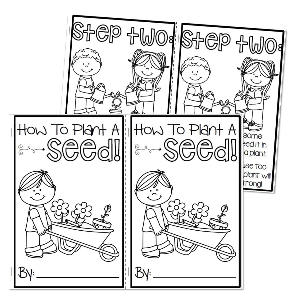 Plants Unit - Mini Booklet - How to Plant a Seed - Lucky Little Learners