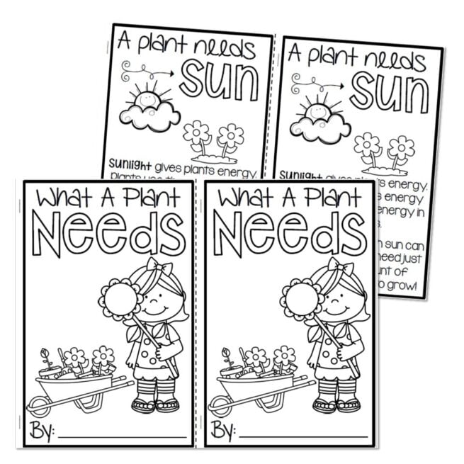 Plants Unit - Mini Booklet - What a Plant Needs - Lucky Little Learners