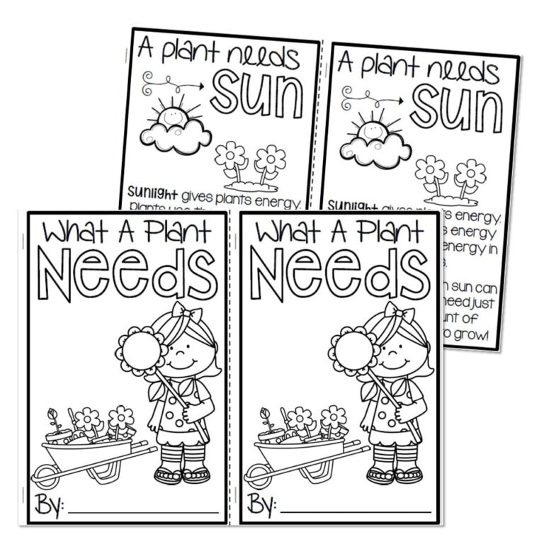 Plants Unit - Mini Booklet - What a Plant Needs - Lucky Little Learners