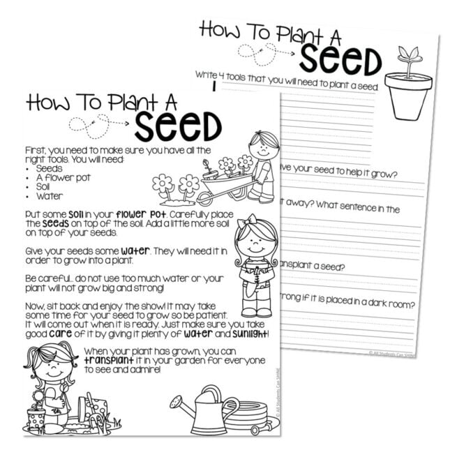 Plants Unit - Reading Comprehension Pages - Lucky Little Learners