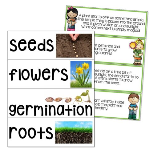 Plants Unit - Vocabulary Words - Lucky Little Learners