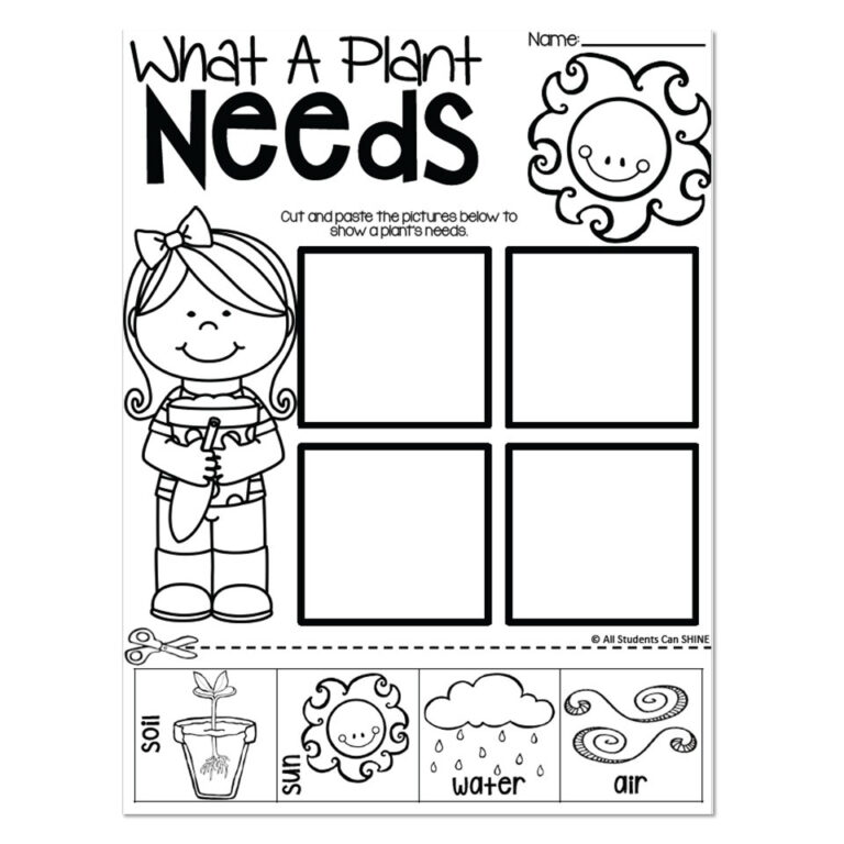 Plants Unit - What a Plant Needs - Lucky Little Learners