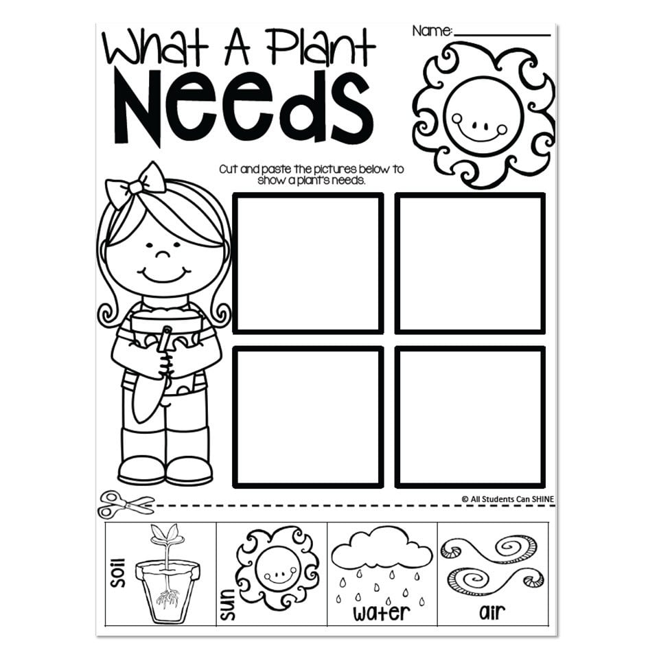Plants Unit - What a Plant Needs - Lucky Little Learners