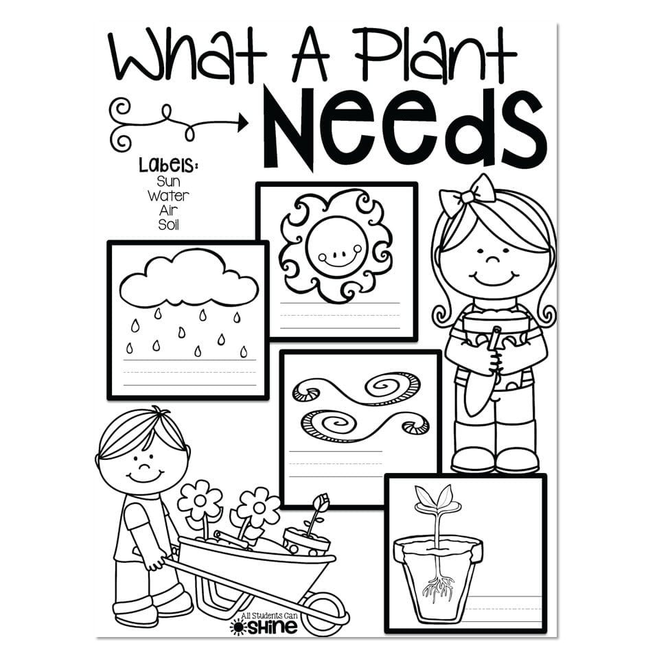 Plants Unit - Writing Activities - What a Plant Needs Chart - Lucky ...