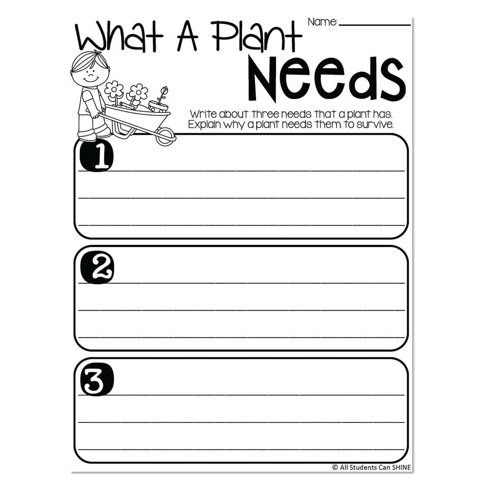 Plants Unit - Writing Activities - What a Plant Needs - Lucky Little ...