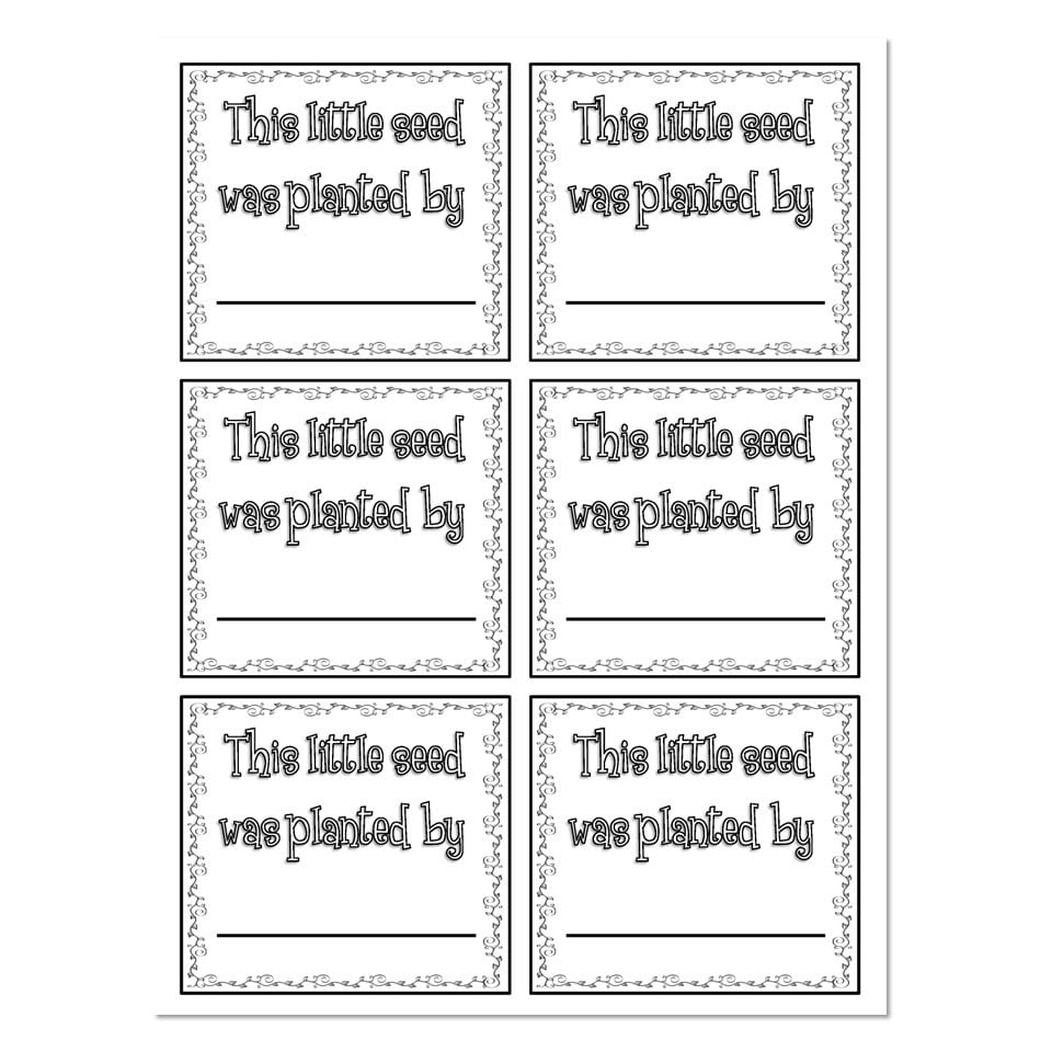 Spring Activities - Plant Labels Option 2 - Lucky Little Learners