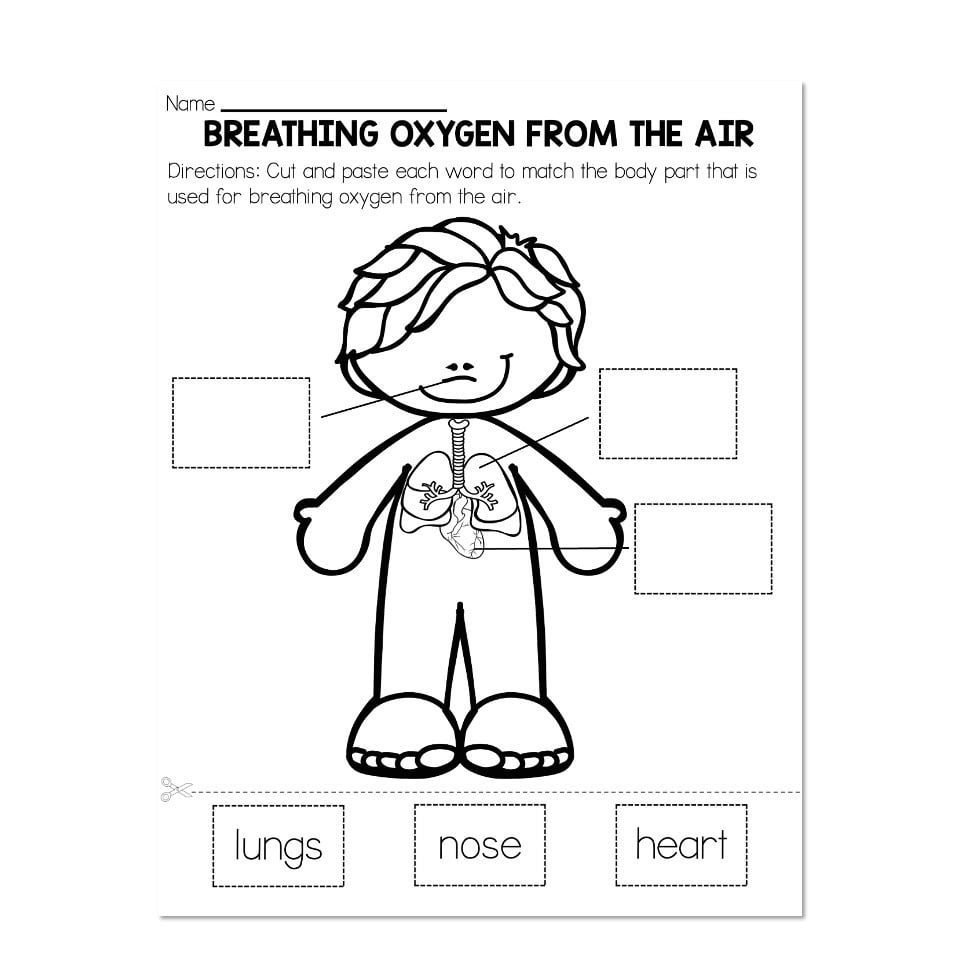 Breathing Labeling Worksheet - Lucky Little Learners