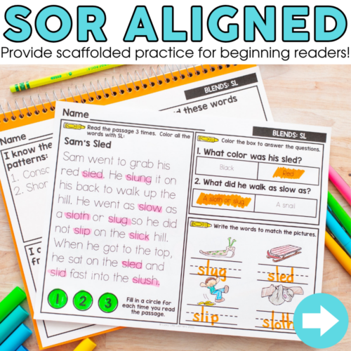 1st Grade Decodable Passages Bundle - Lucky Little Learners