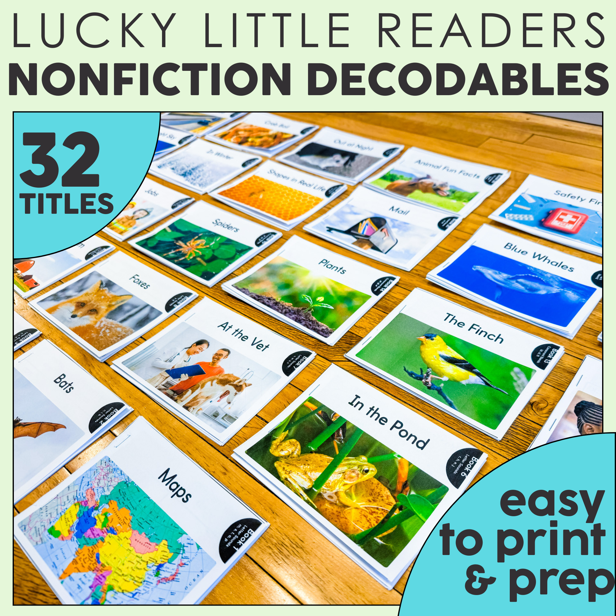 Shop - Lucky Little Learners