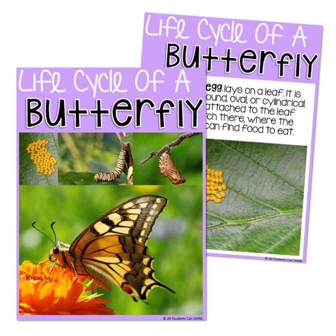 Life Cycles Unit - Butterfly Book - Lucky Little Learners