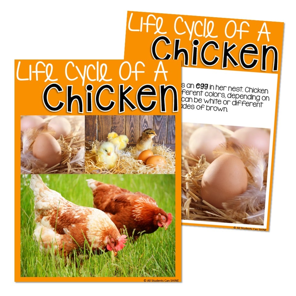Life Cycles Unit - Chicken Book - Lucky Little Learners